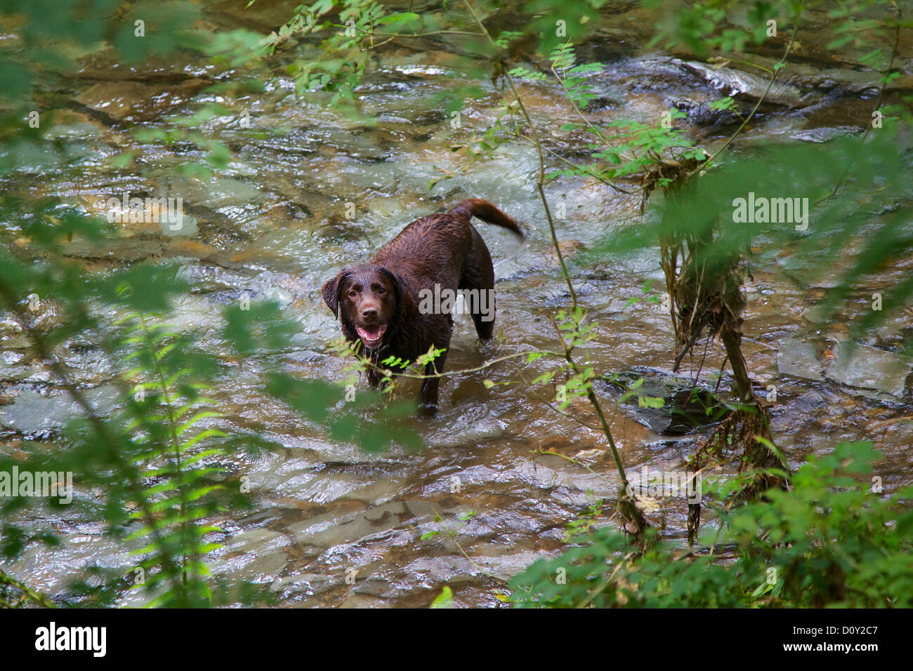 The chocolate river hi-res stock photography and images - Alamy