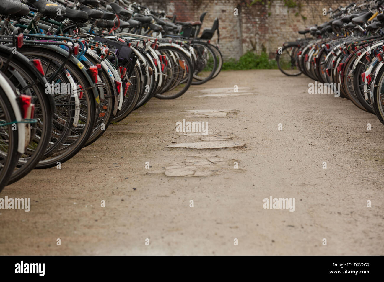 Communal bicycle rack, Ghent, Belgium Stock Photo - Alamy
