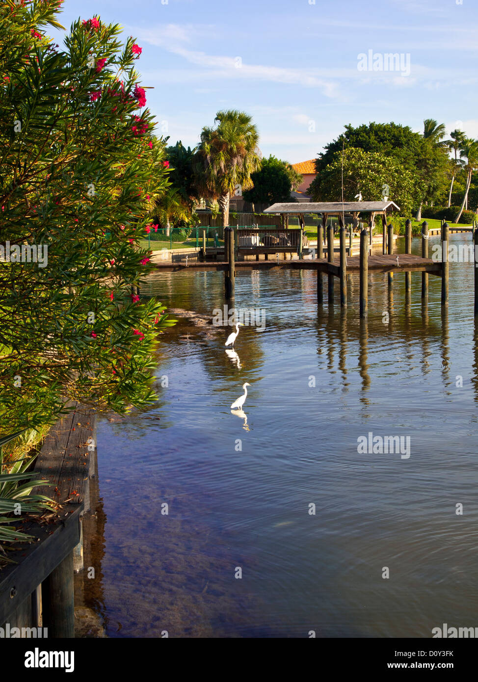 Inindialantic hi-res stock photography and images - Alamy