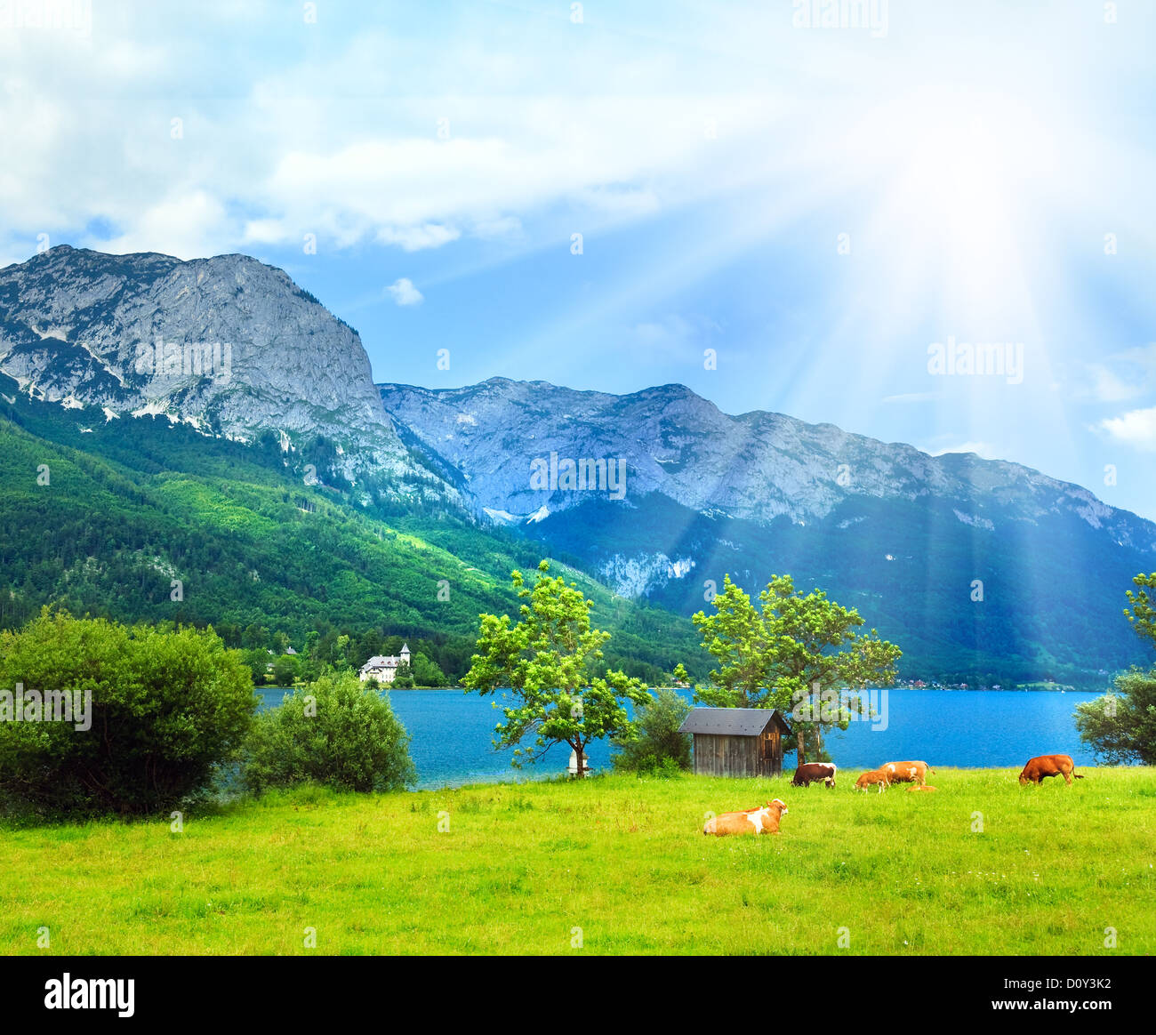 Alpine summer lake view Stock Photo - Alamy