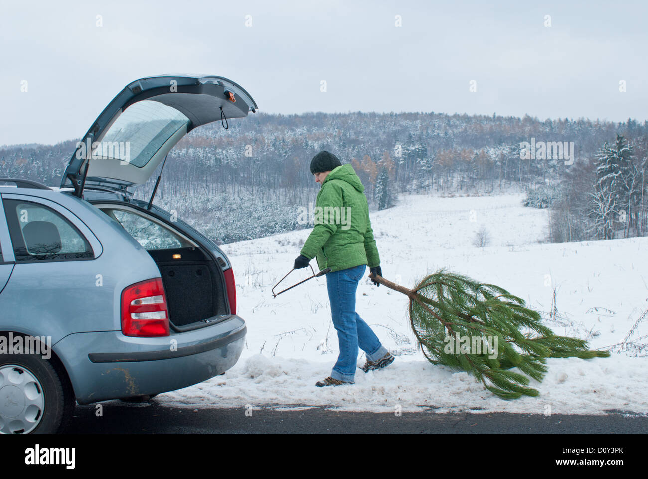 man steals a Christmas tree in the forest Stock Photo - Alamy