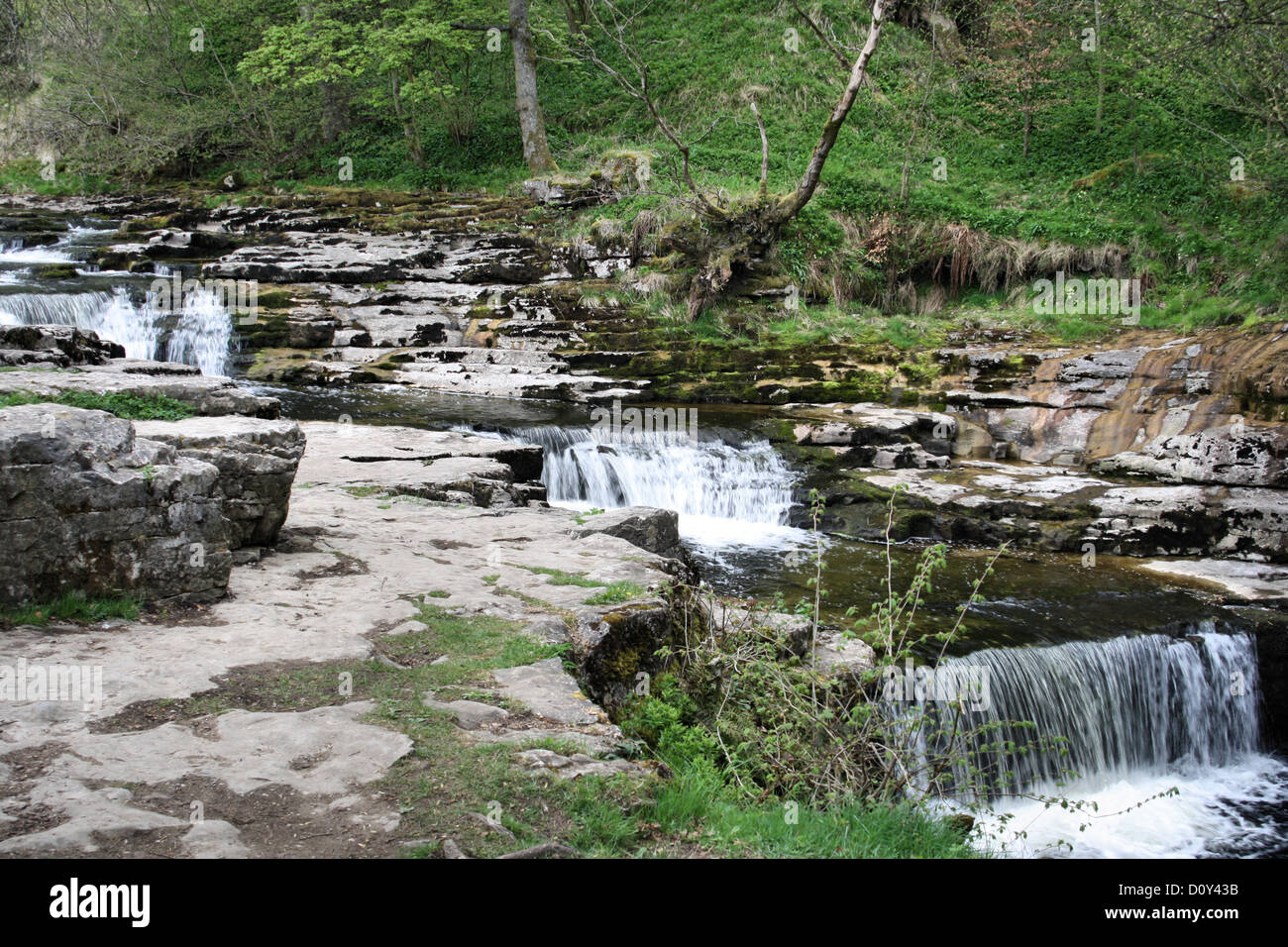 Waterfalls on the river ribble near Stainforth Stock Photo - Alamy