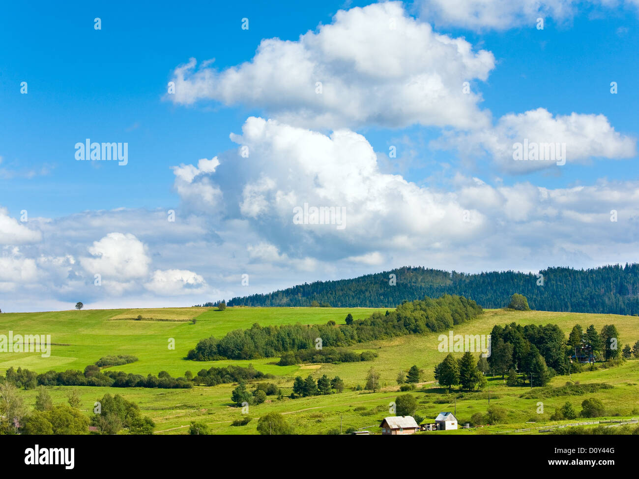 Summer mountain view Stock Photo - Alamy