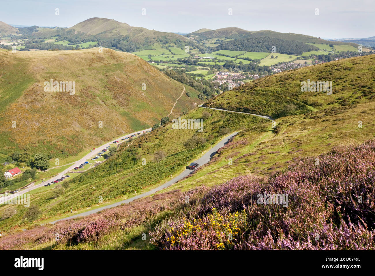 Looking towards Carding Mill Valley late summer, Long Mynd, Shropshire ...