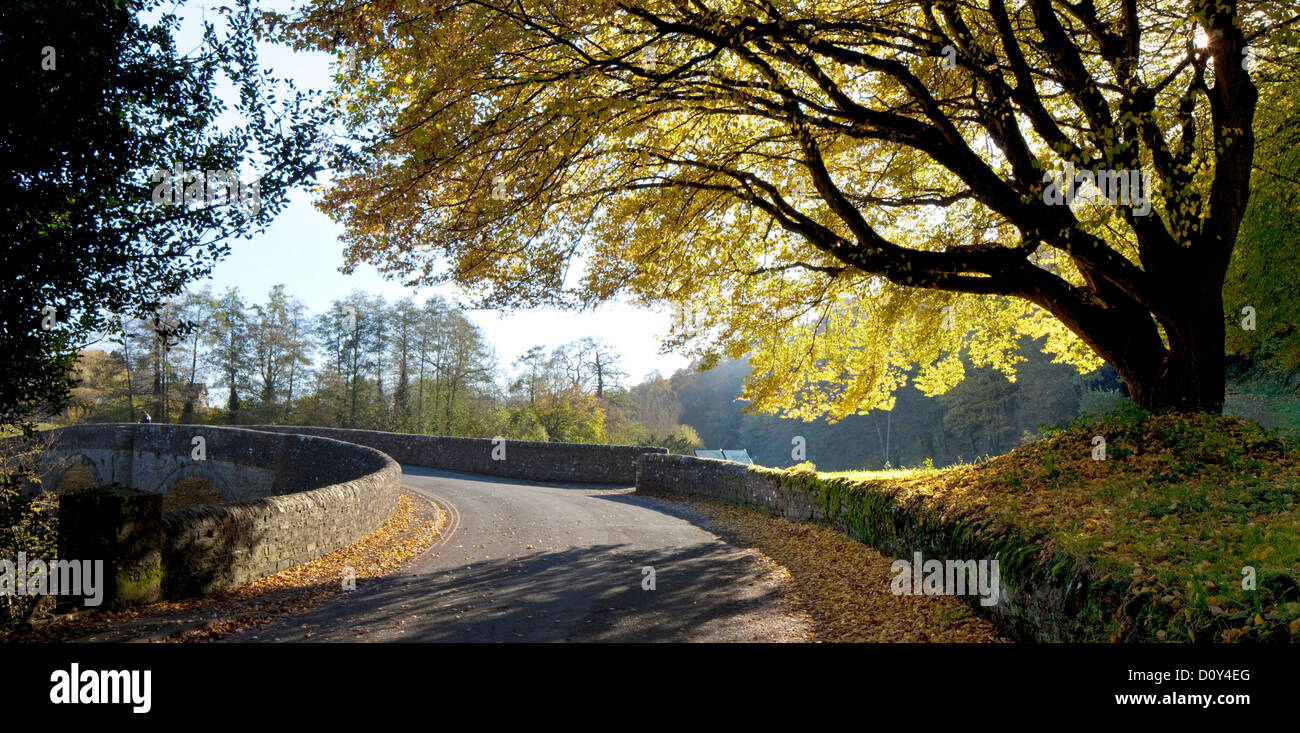 Dinham bridge ludlow hi-res stock photography and images - Alamy