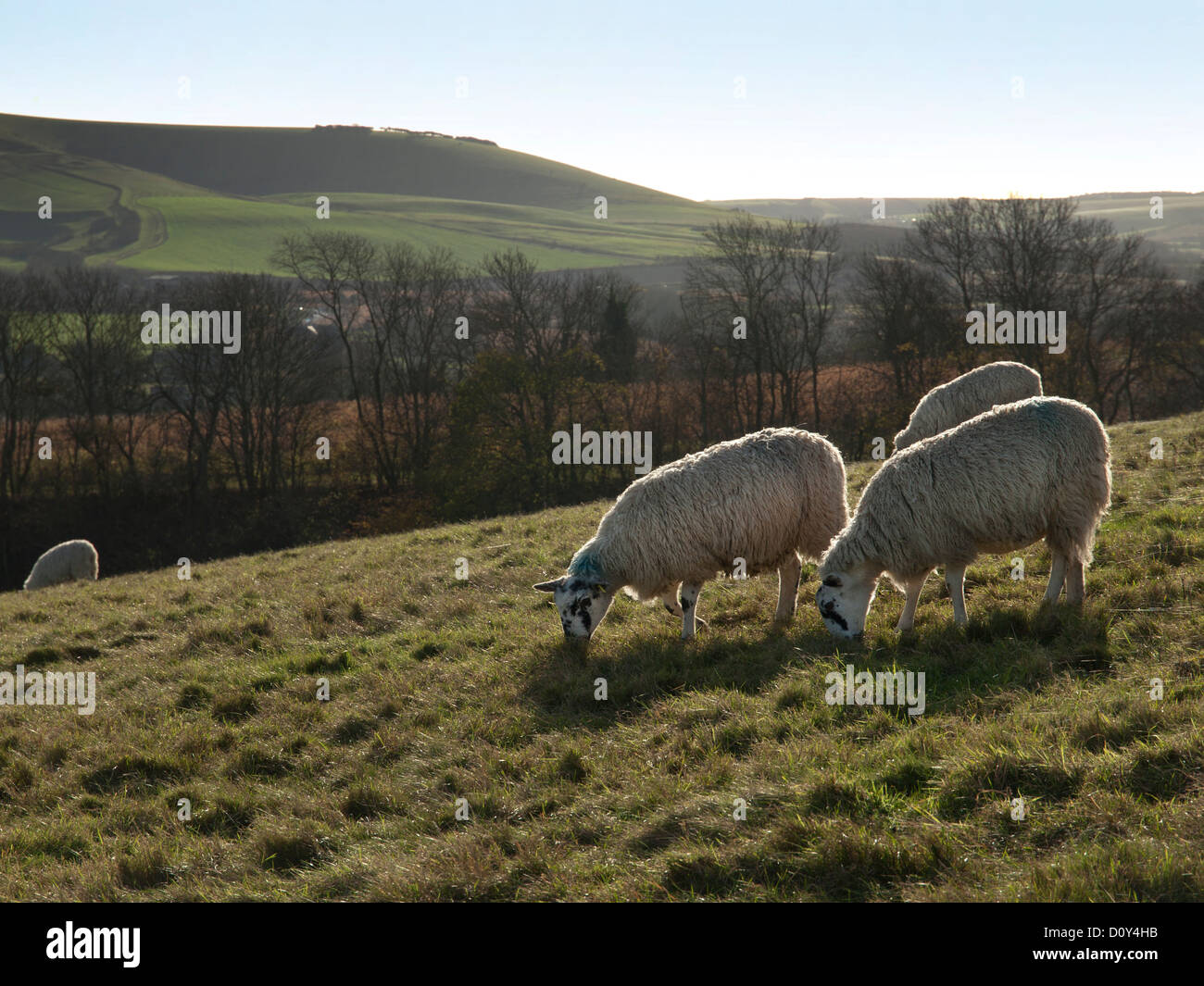 A scene from the pretty little village of Glynde in East Sussex Stock ...