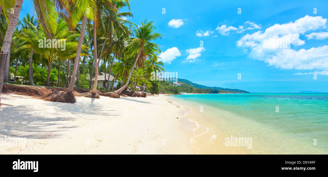 tropical beach Bang Po Stock Photo - Alamy