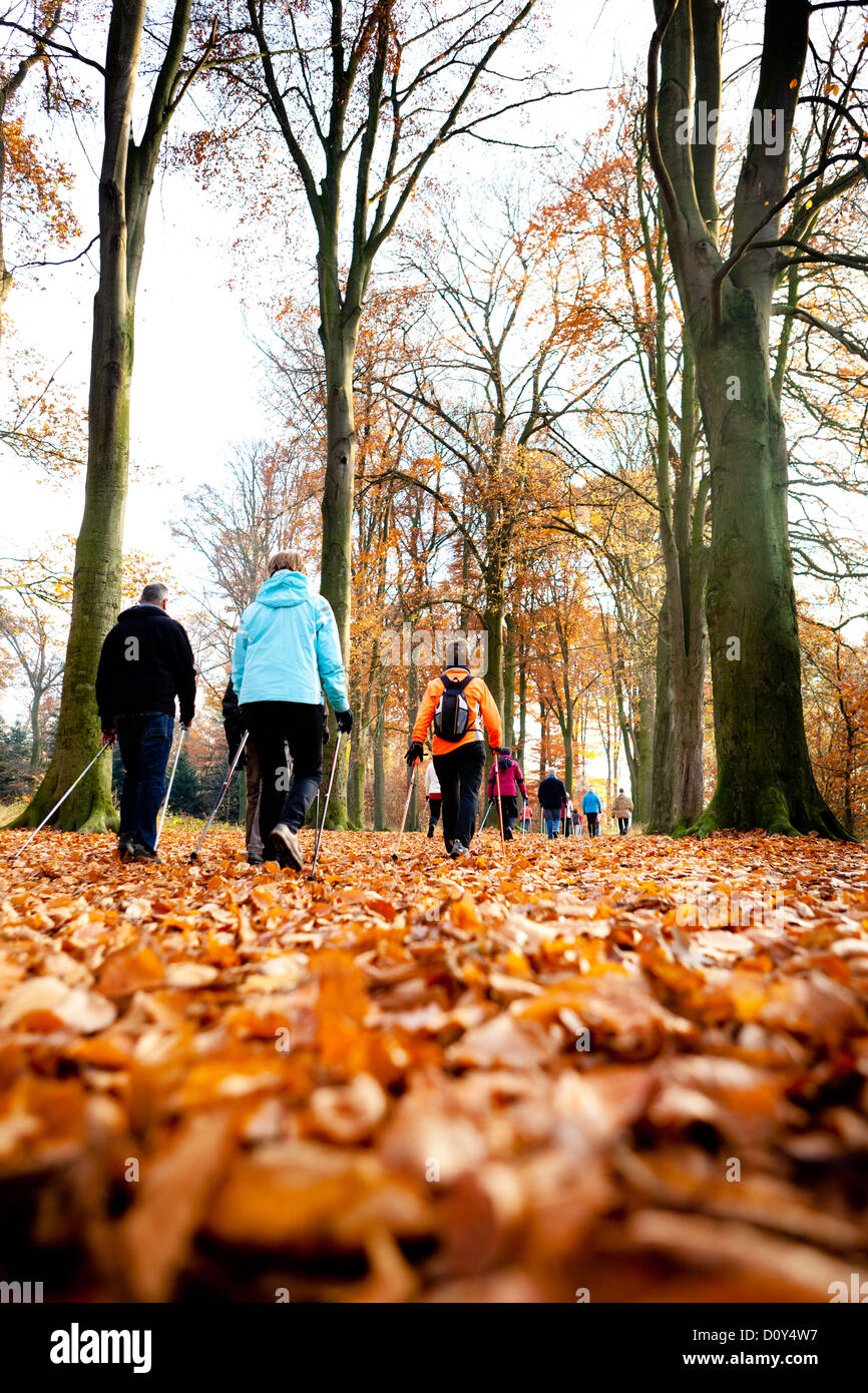 group of people doing outdoor sports Stock Photo - Alamy