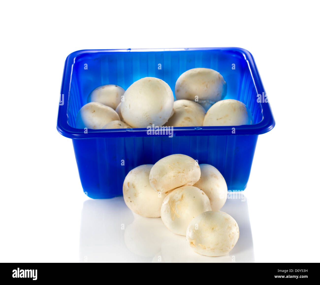 blue box with mushrooms isolated on white Stock Photo - Alamy