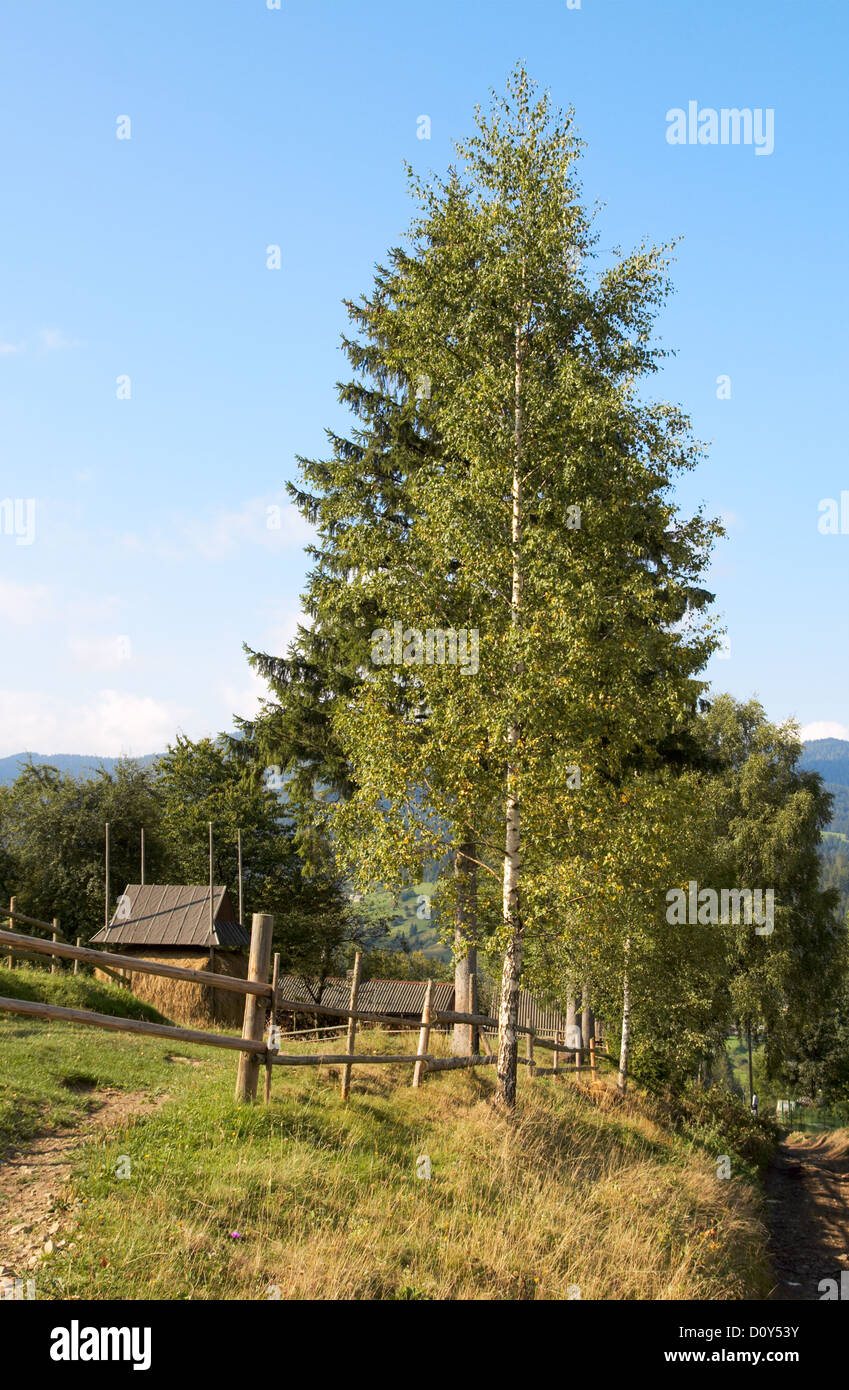 small country estate Stock Photo - Alamy