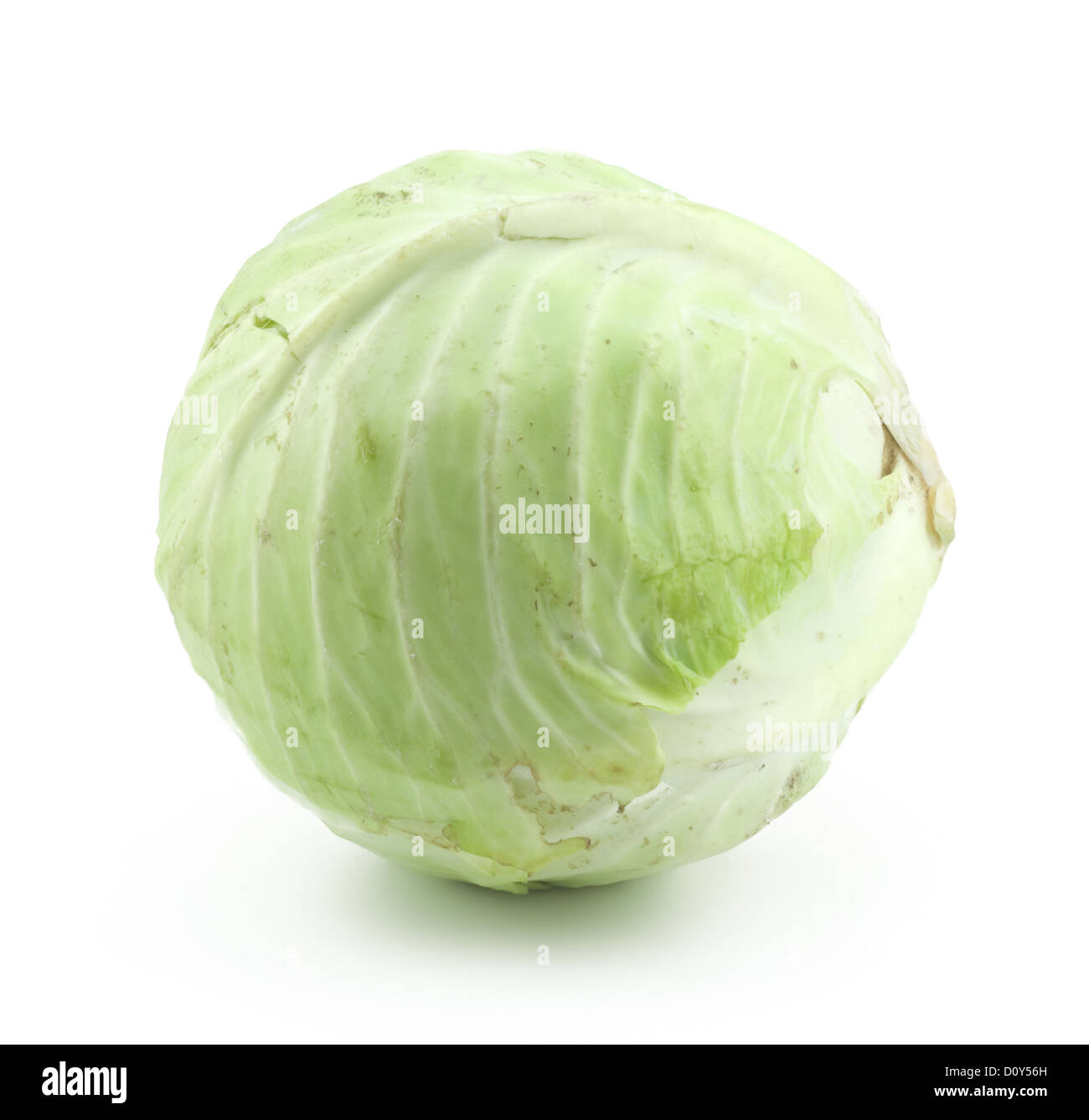 Fresh green cabbage ripe Cut Out Stock Images & Pictures - Alamy
