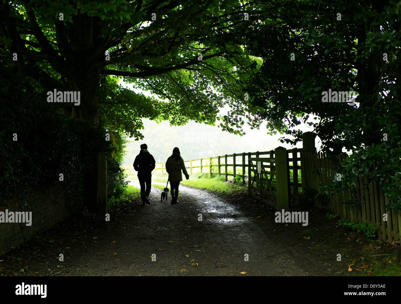 A walk in the english countryside hi-res stock photography and images ...