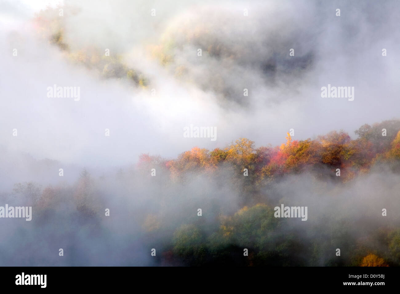 NC - Fall color and rising fog viewed from Webb Overlook along the ...