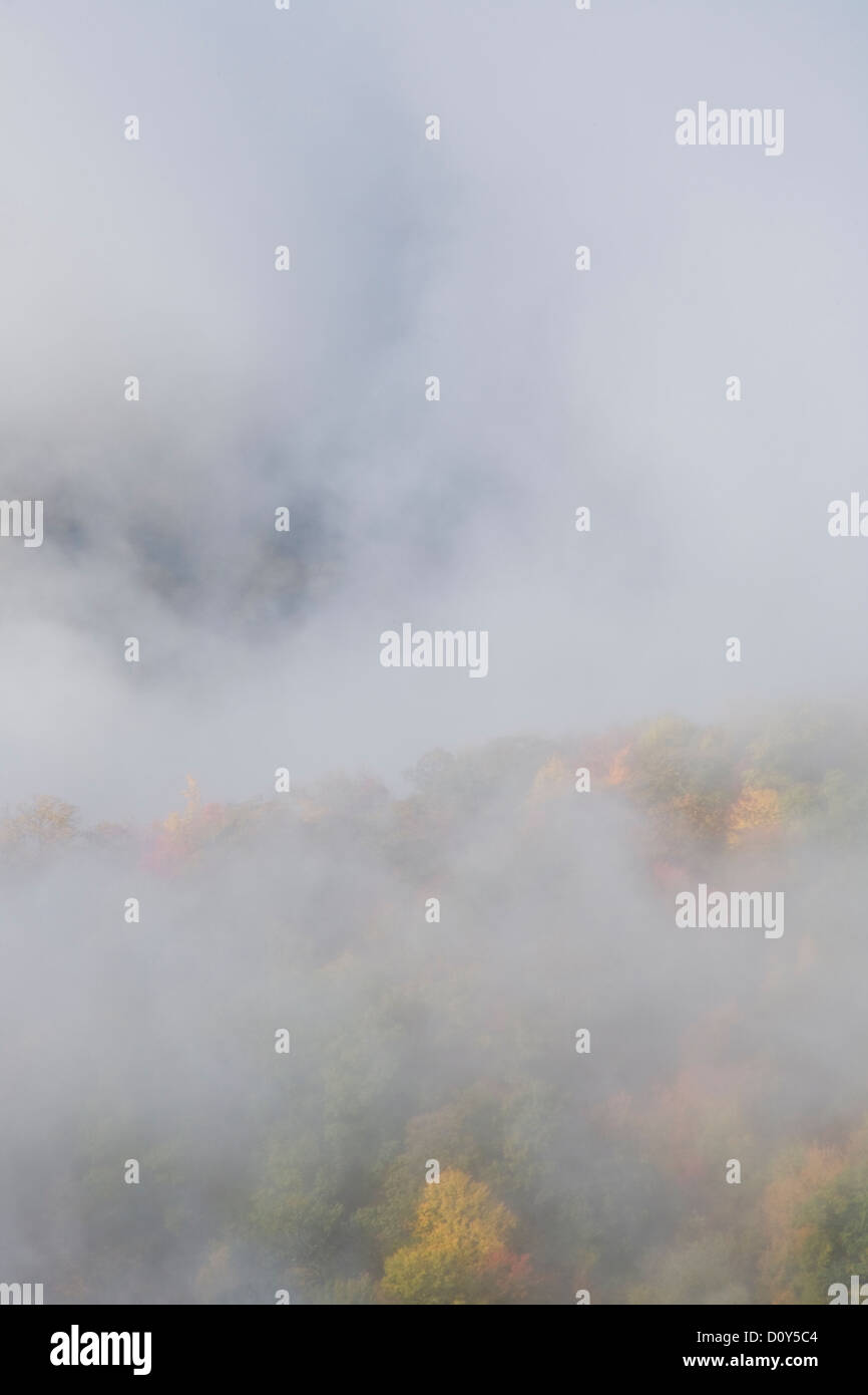 Fall color and rising fog viewed from Webb Overlook along the Newfound ...