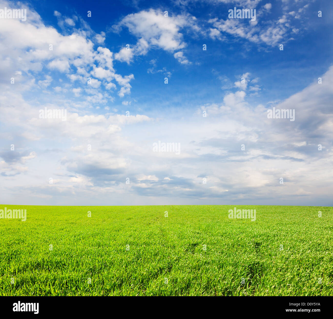 Cloudy sky over fields hi-res stock photography and images - Alamy