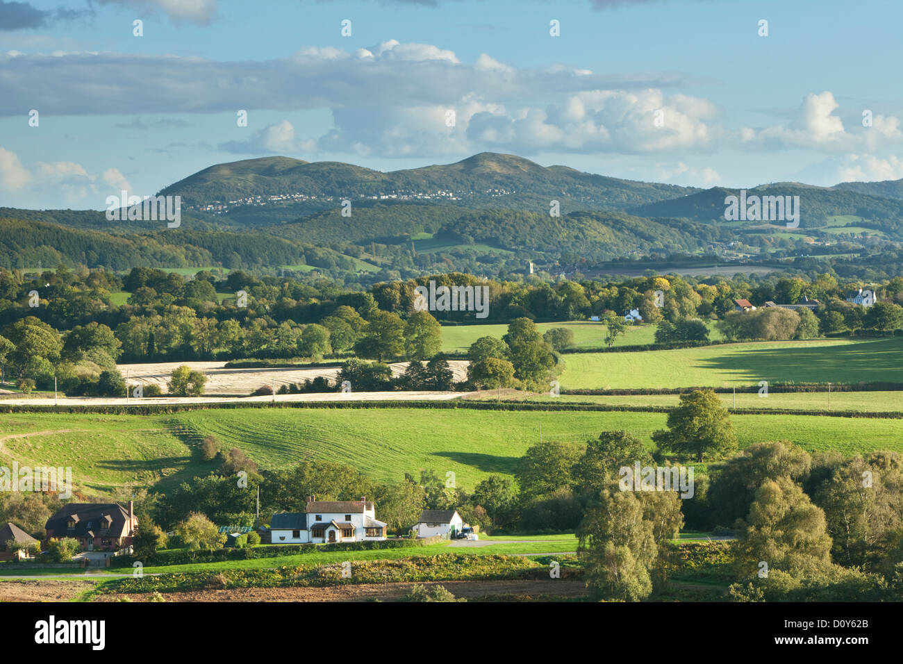 Bringsty common hi-res stock photography and images - Alamy
