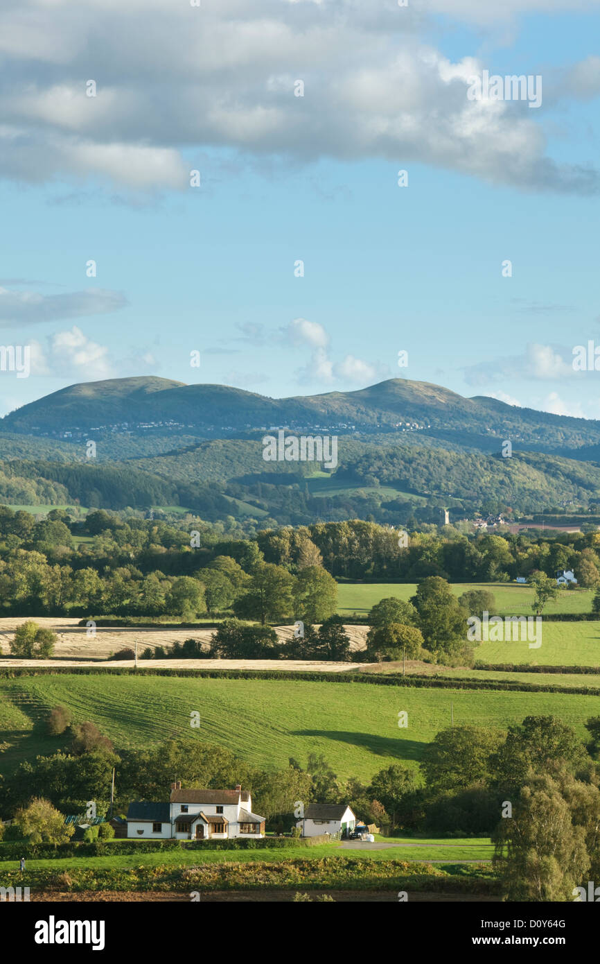 Bringsty common hi-res stock photography and images - Alamy