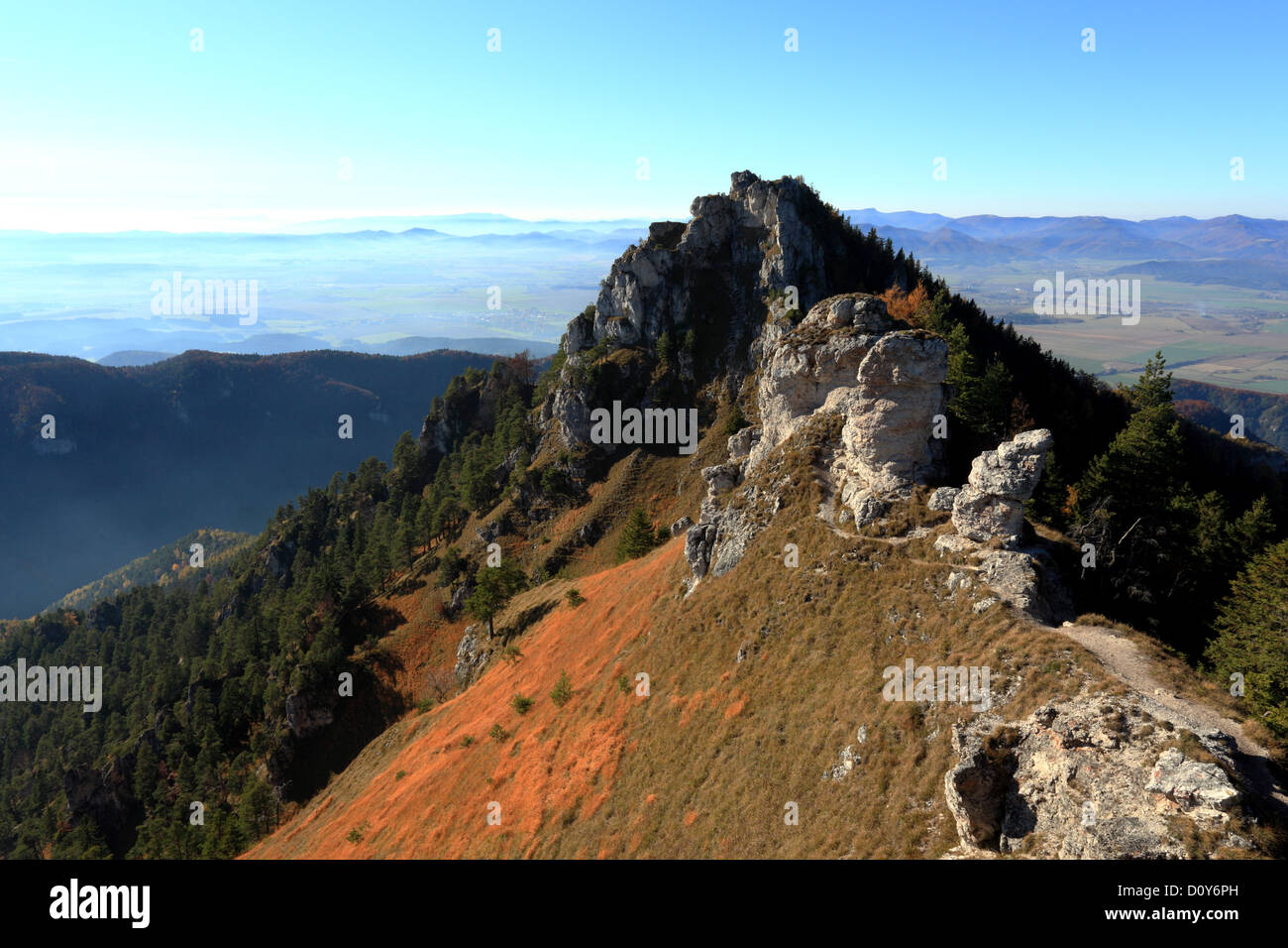 Ostra hi-res stock photography and images - Alamy