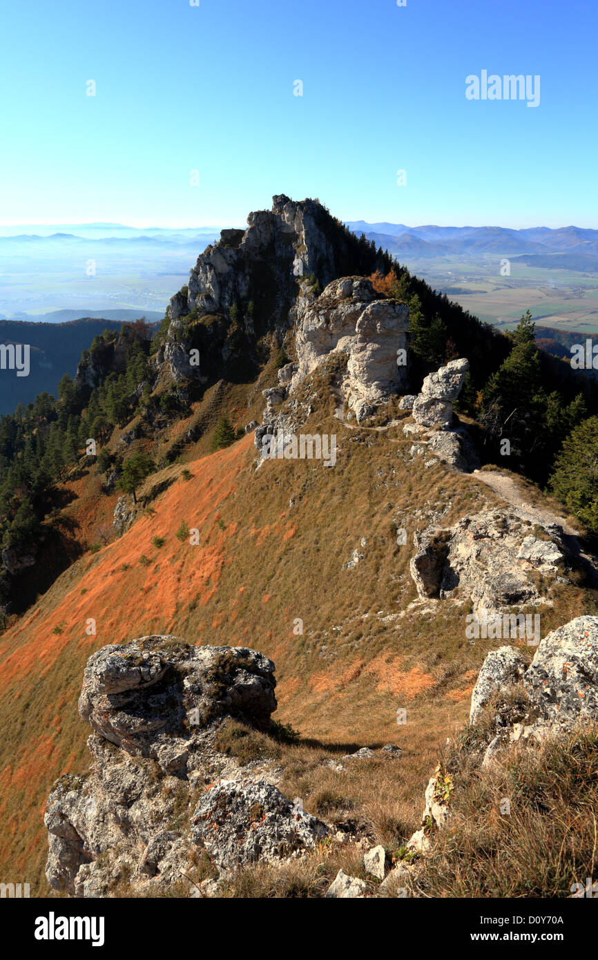 Ostra hi-res stock photography and images - Alamy