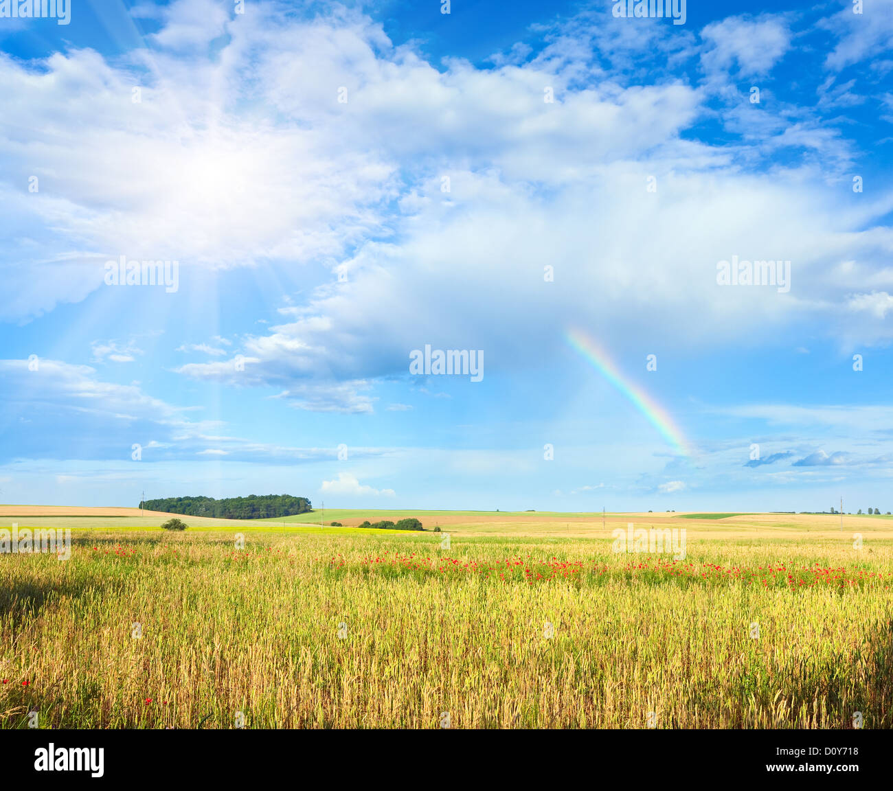 Field rainbow hi-res stock photography and images - Alamy