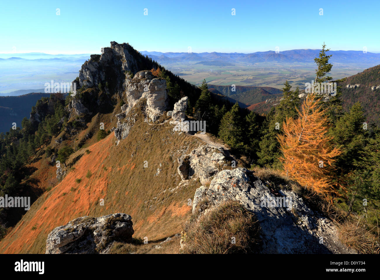 The limestone cliffs at the summit of Ostra, NP Velka Fatra, Slovakia ...