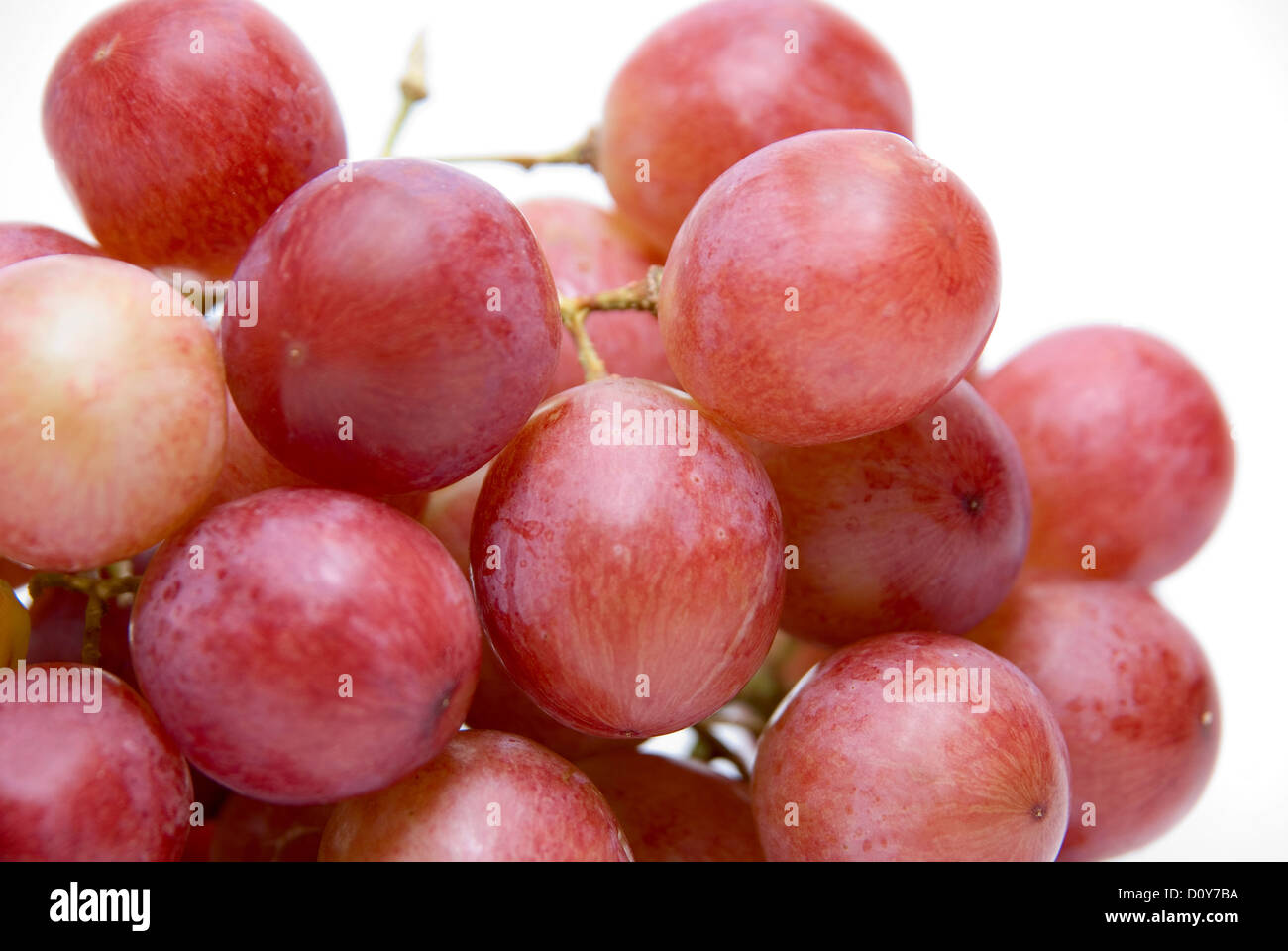 Pink grape cluster hi-res stock photography and images - Alamy