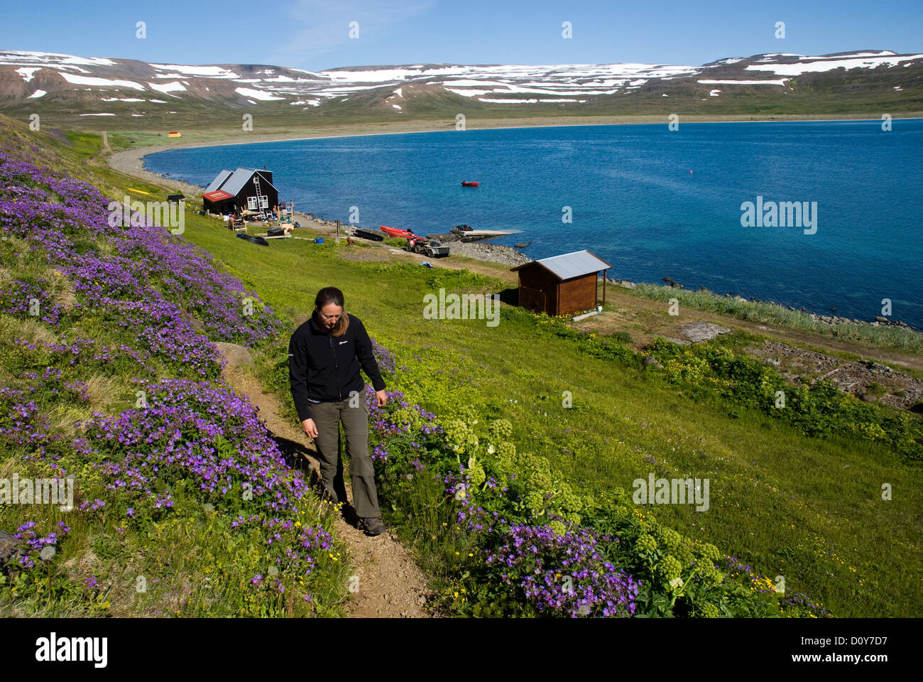 Latrar in Adalvik bay, on the Hornstrandir Peninsula on the ...