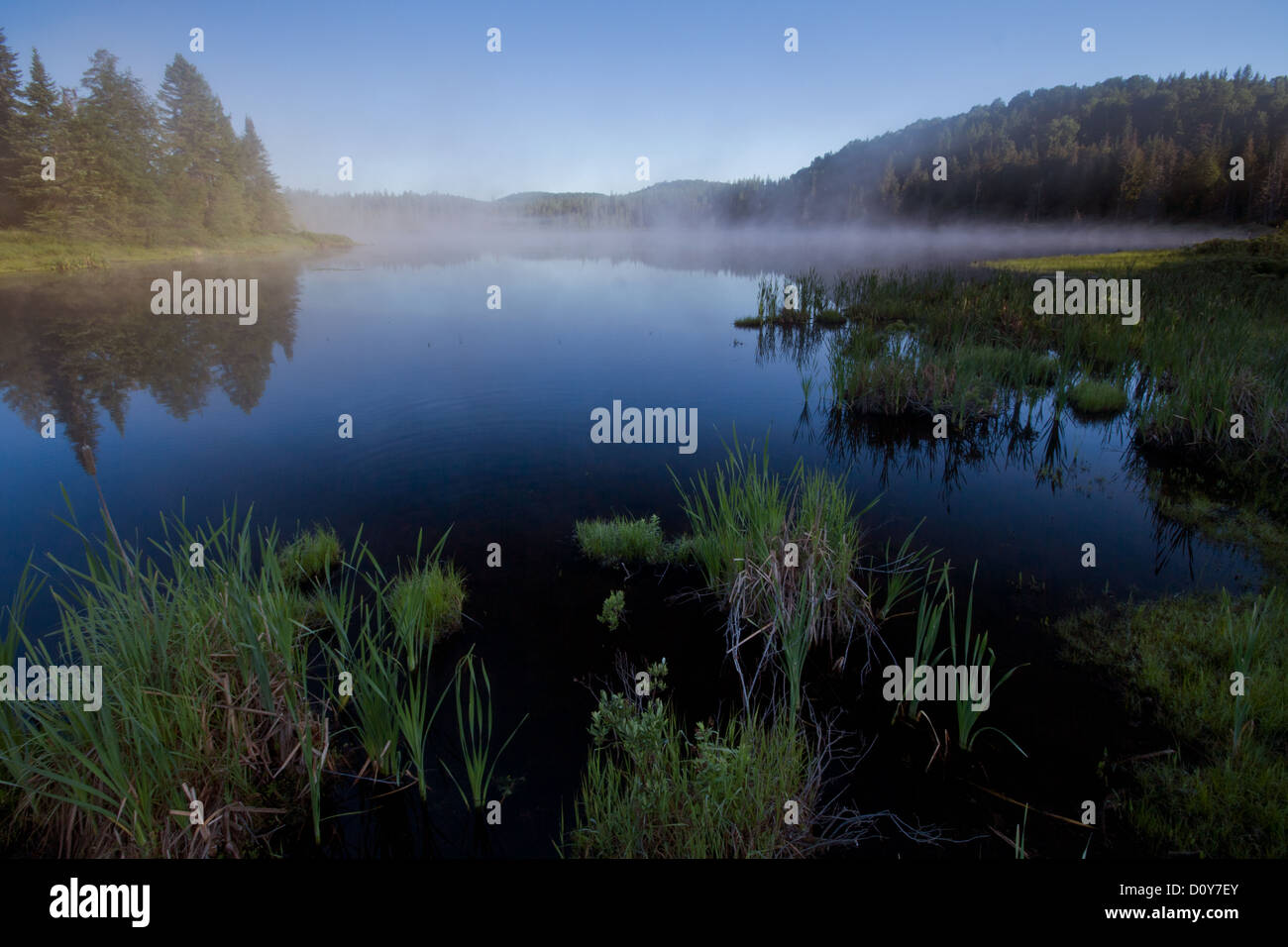 Summer landscape in Laurentides Quebec-Canada Stock Photo - Alamy