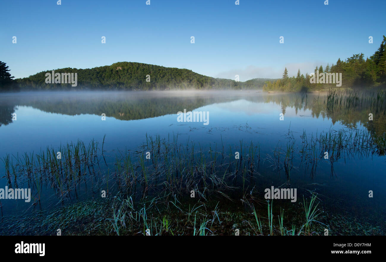 Summer landscape in Laurentides Quebec-Canada Stock Photo - Alamy