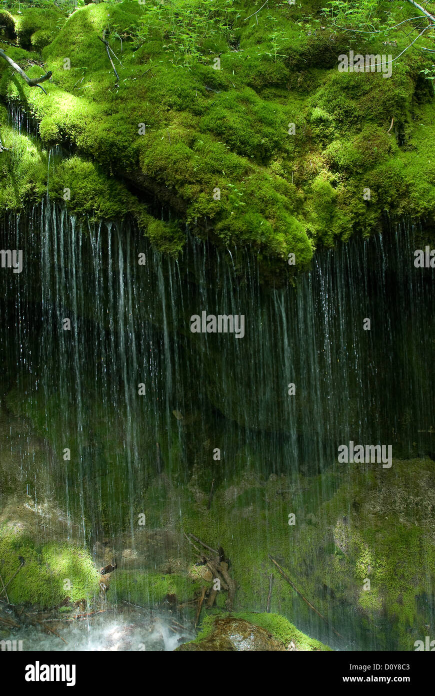 Gutach hi-res stock photography and images - Alamy