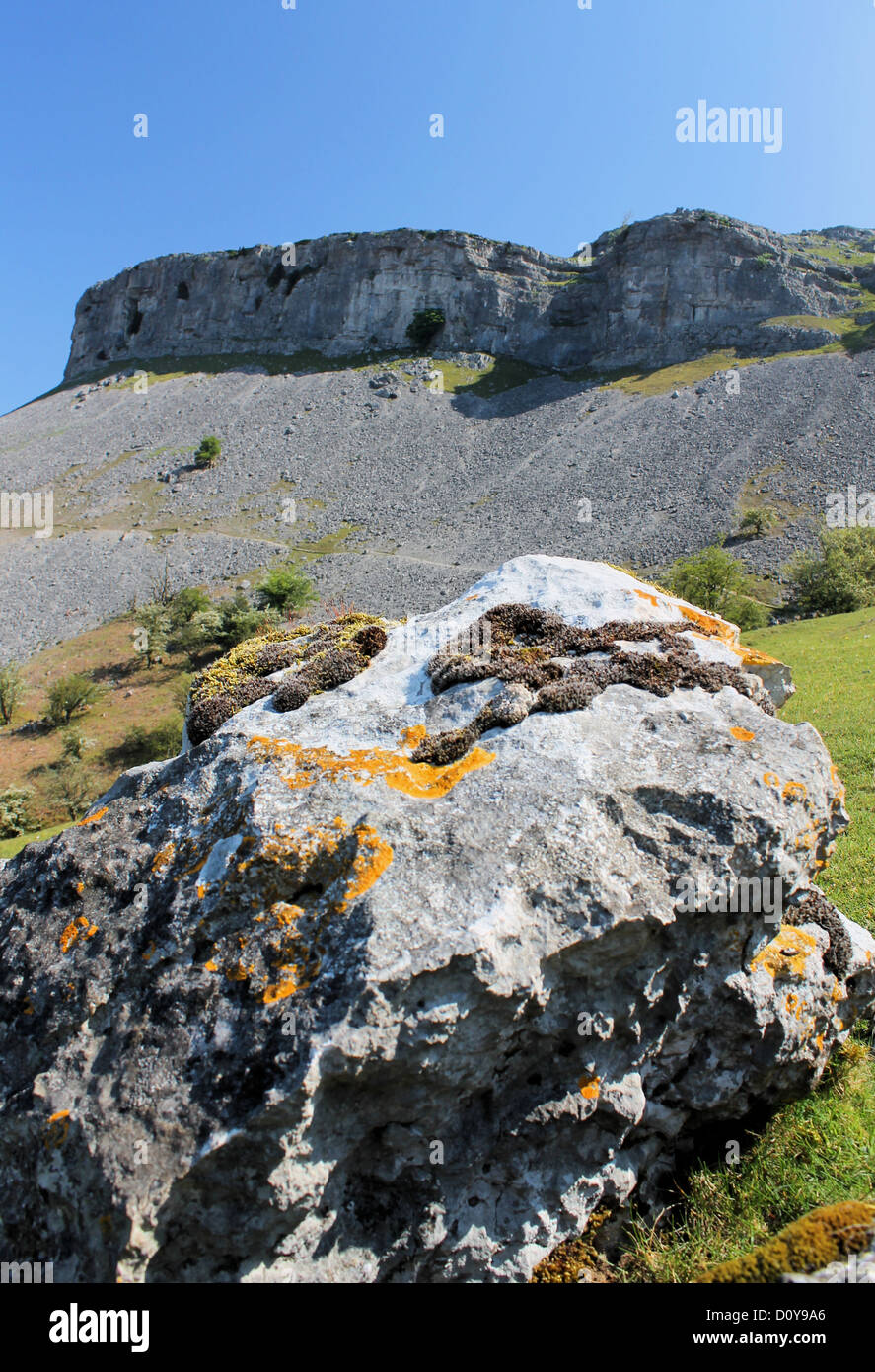 Lichen and moss on limestone rocks on Eglwyseg mountain Llangollen ...