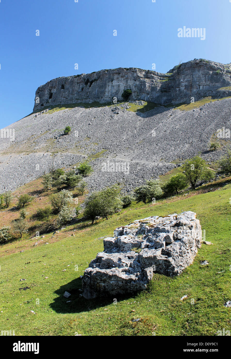 Limeston rock on Eglwyseg mountain Llangollen Stock Photo - Alamy