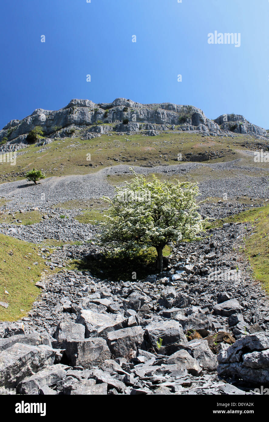 Hawthorn ridge hi-res stock photography and images - Alamy