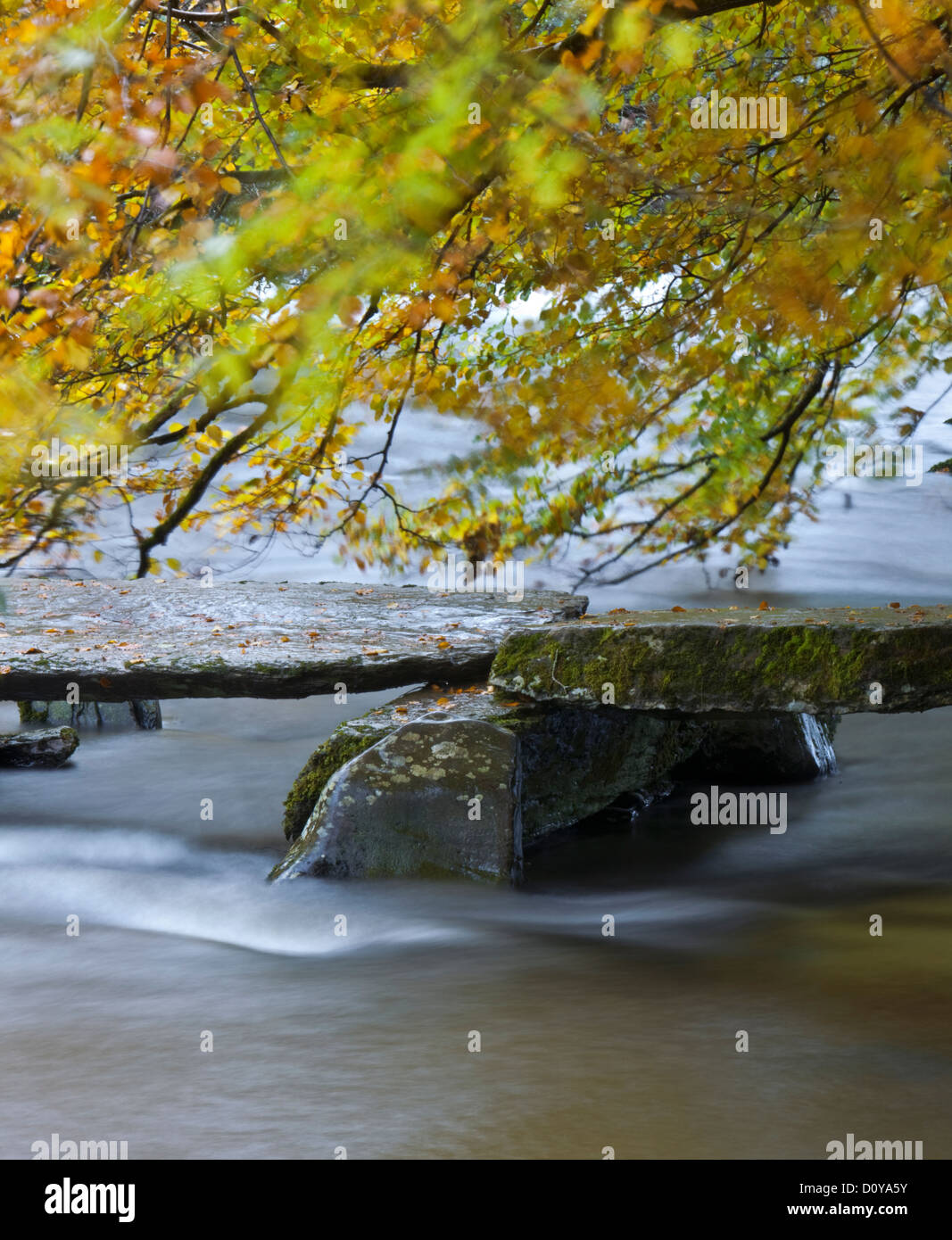 The River Barle in autumn at Tarr Steps, Exmoor National Park, Somerset ...