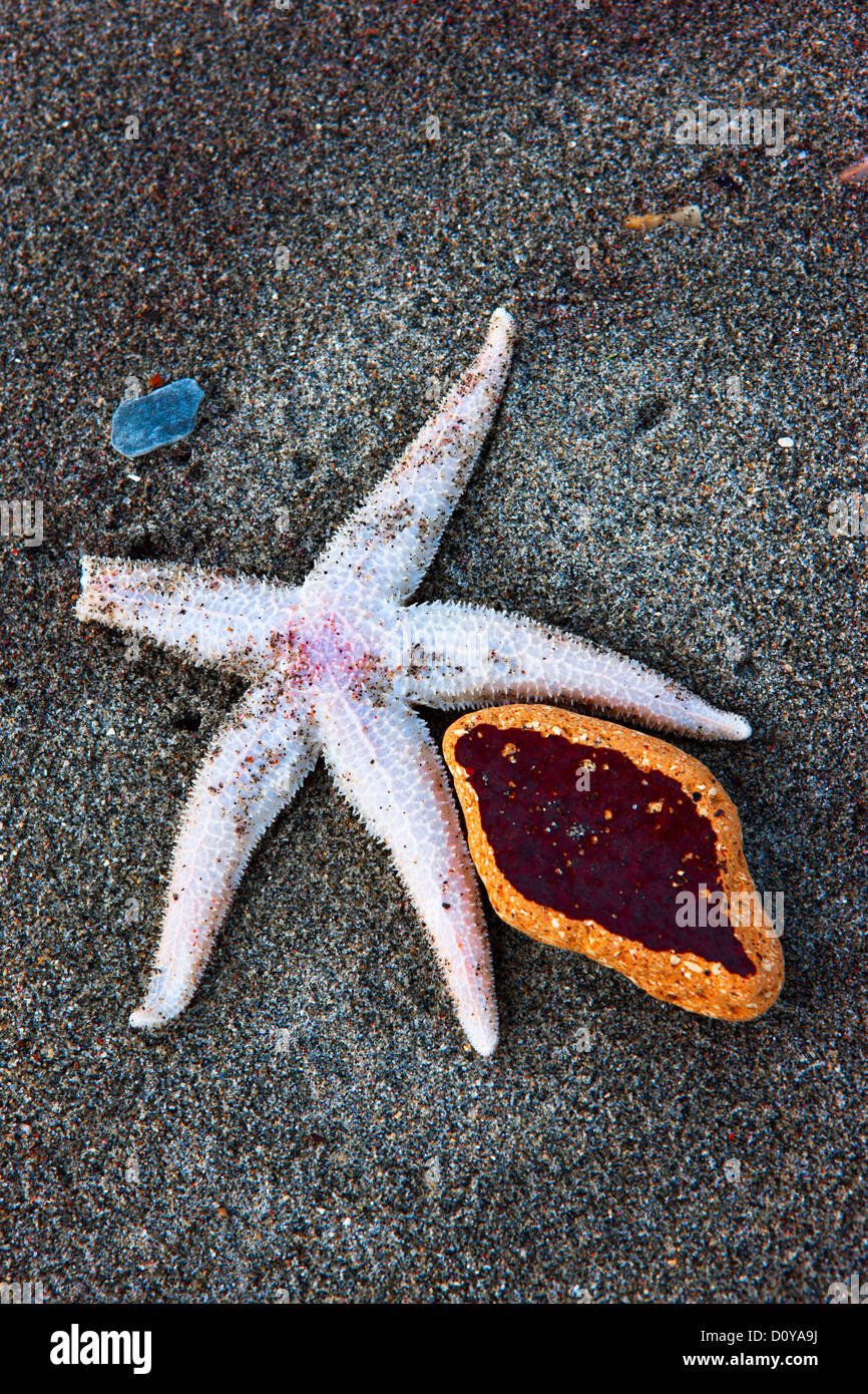 Sponge Beach High Resolution Stock Photography and Images - Alamy