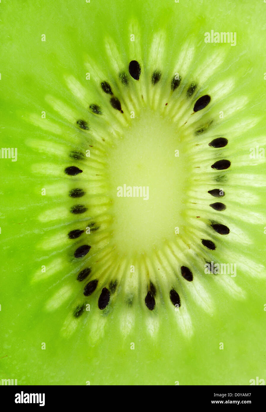 Kiwi pulp macro hi-res stock photography and images - Alamy