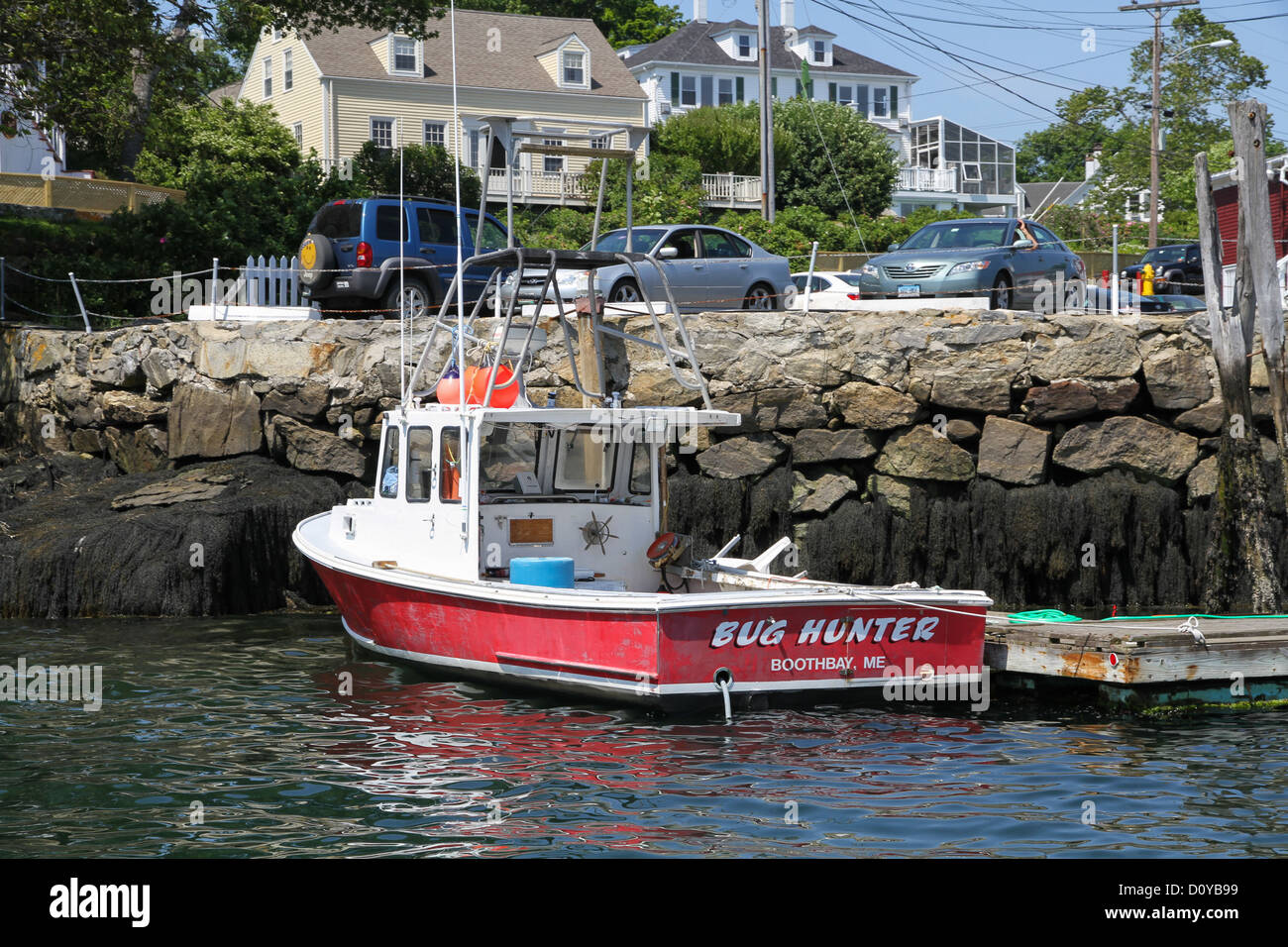 Bug hunter hi-res stock photography and images - Alamy