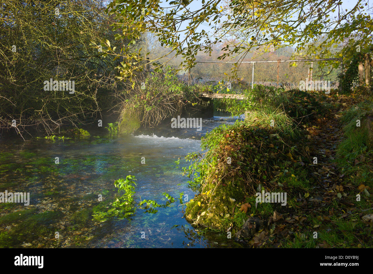Footbridge across the Bourne Rivulet on a misty autumn morning, St Mary ...