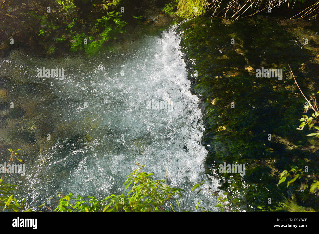 Clear water of the Bourne Rivulet, St Mary Bourne, Hampshire, England ...