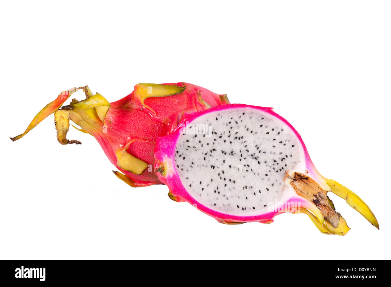 Pitaya cactus Cut Out Stock Images & Pictures - Alamy