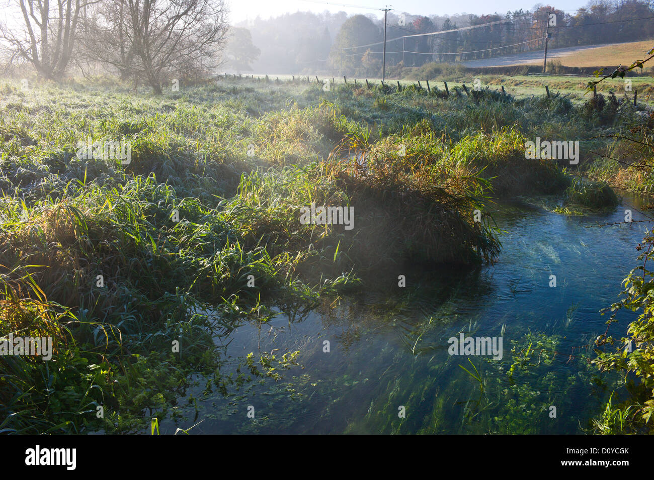 Mist rising from the Bourne Rivulet on an autumn morning, St Mary ...