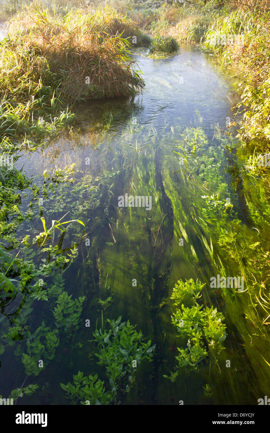 Chalk stream uk mist hi-res stock photography and images - Alamy