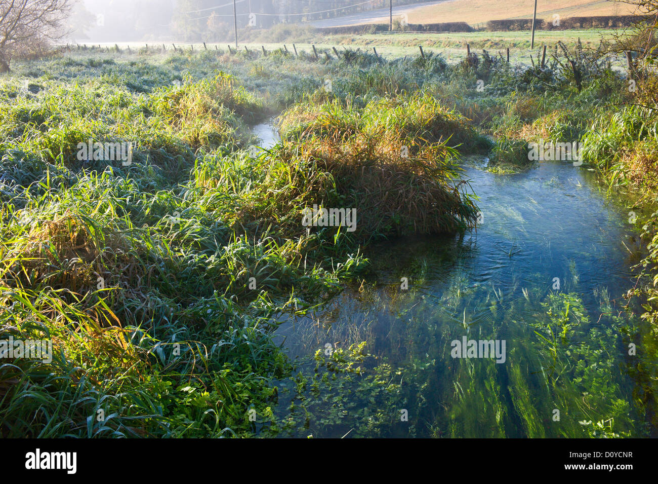 Chalk stream uk mist hi-res stock photography and images - Alamy