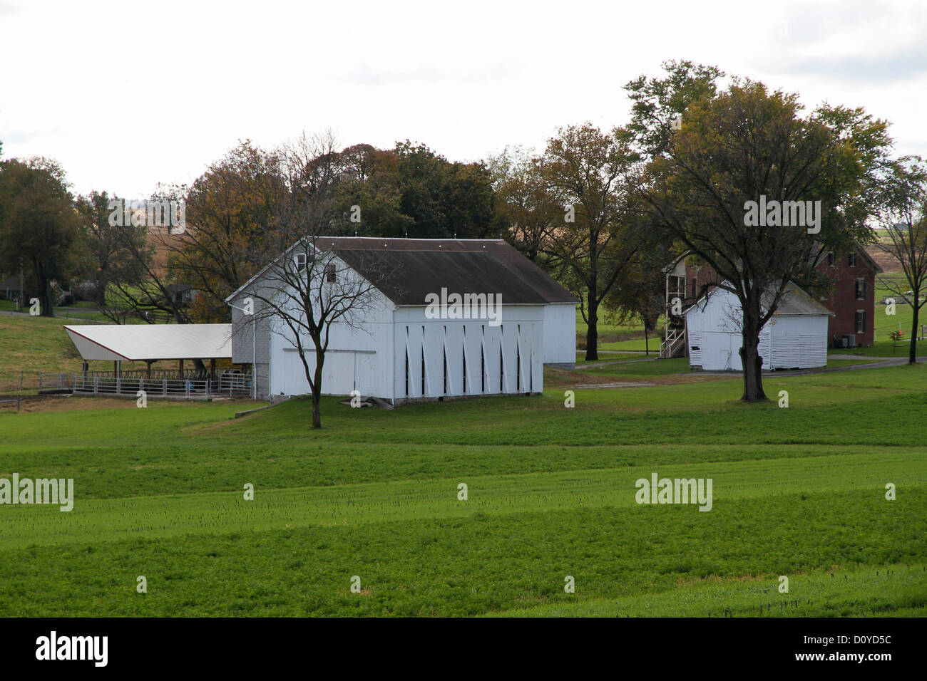 Tobacco drying barn hi-res stock photography and images - Alamy