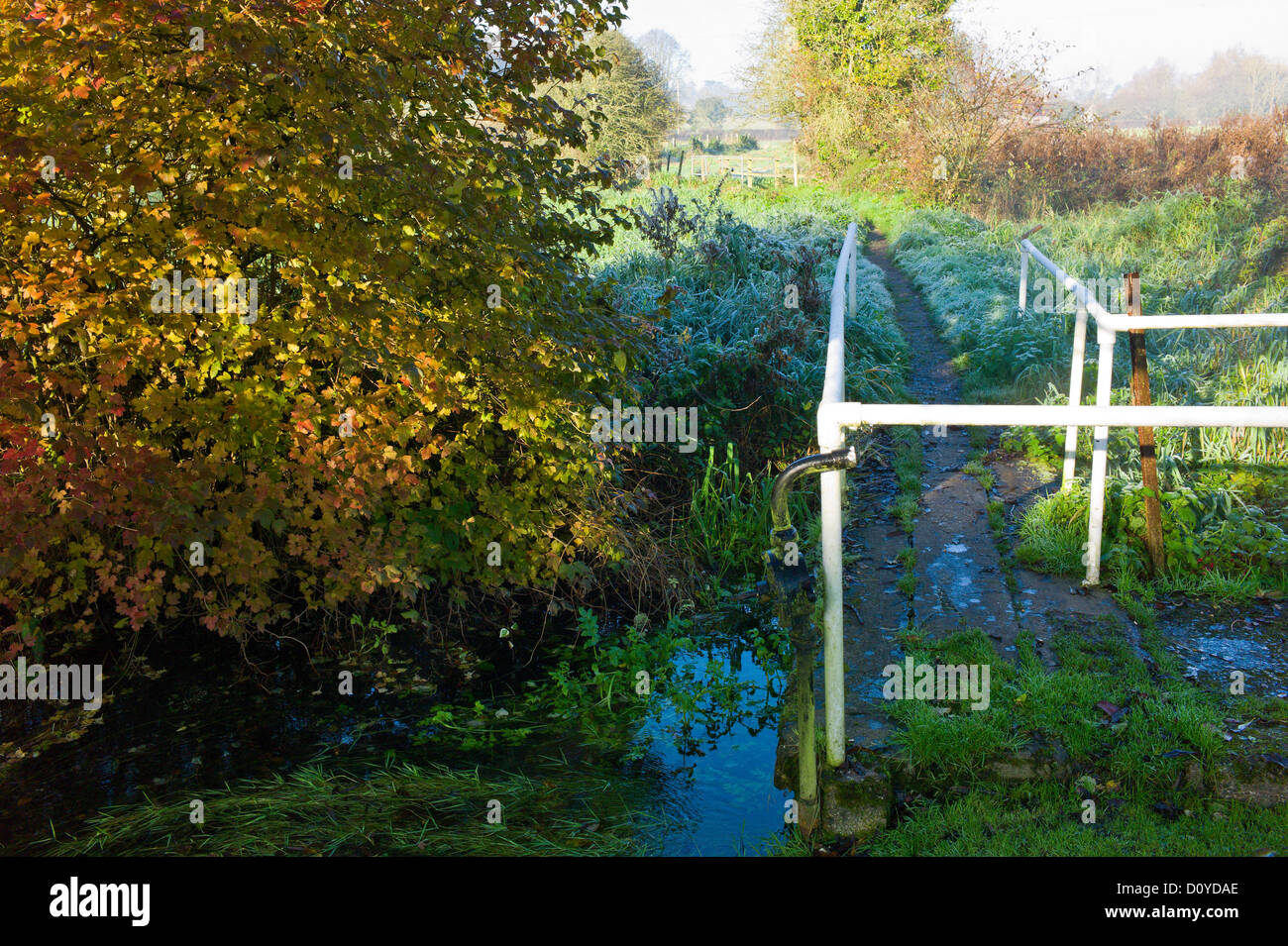 Public footpath across the Bourne Rivulet on an autumn morning, St Mary ...