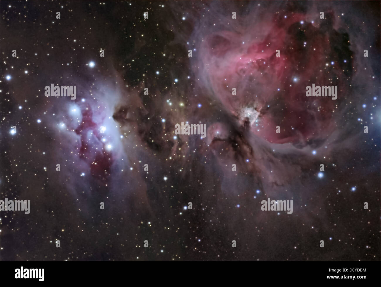 M42 Great Orion Nebula Stock Photo - Alamy