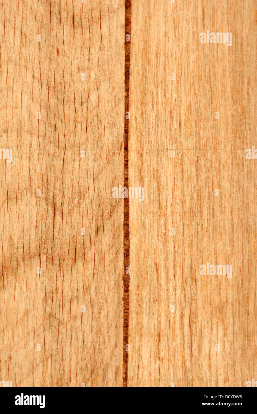 wood texture with natural patterns, image can be used as a background ...