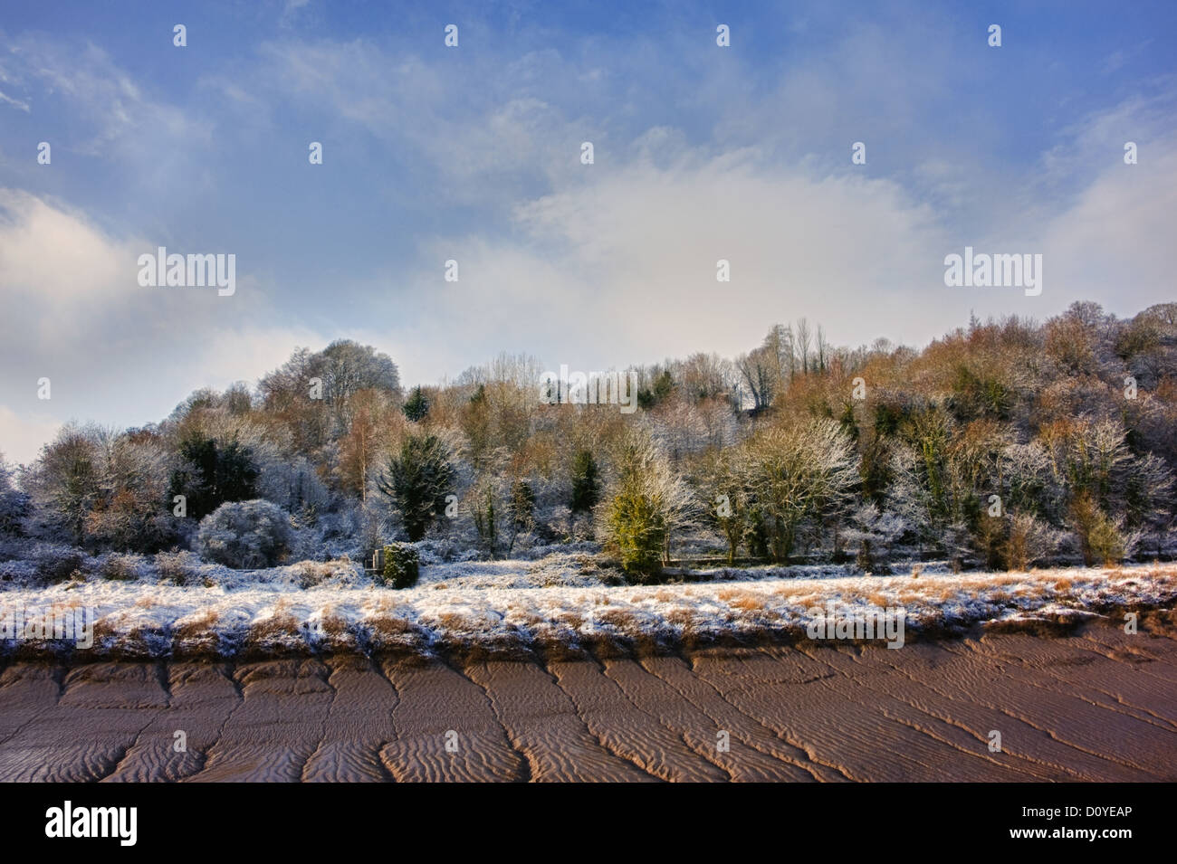 Bristol forest england hi-res stock photography and images - Alamy