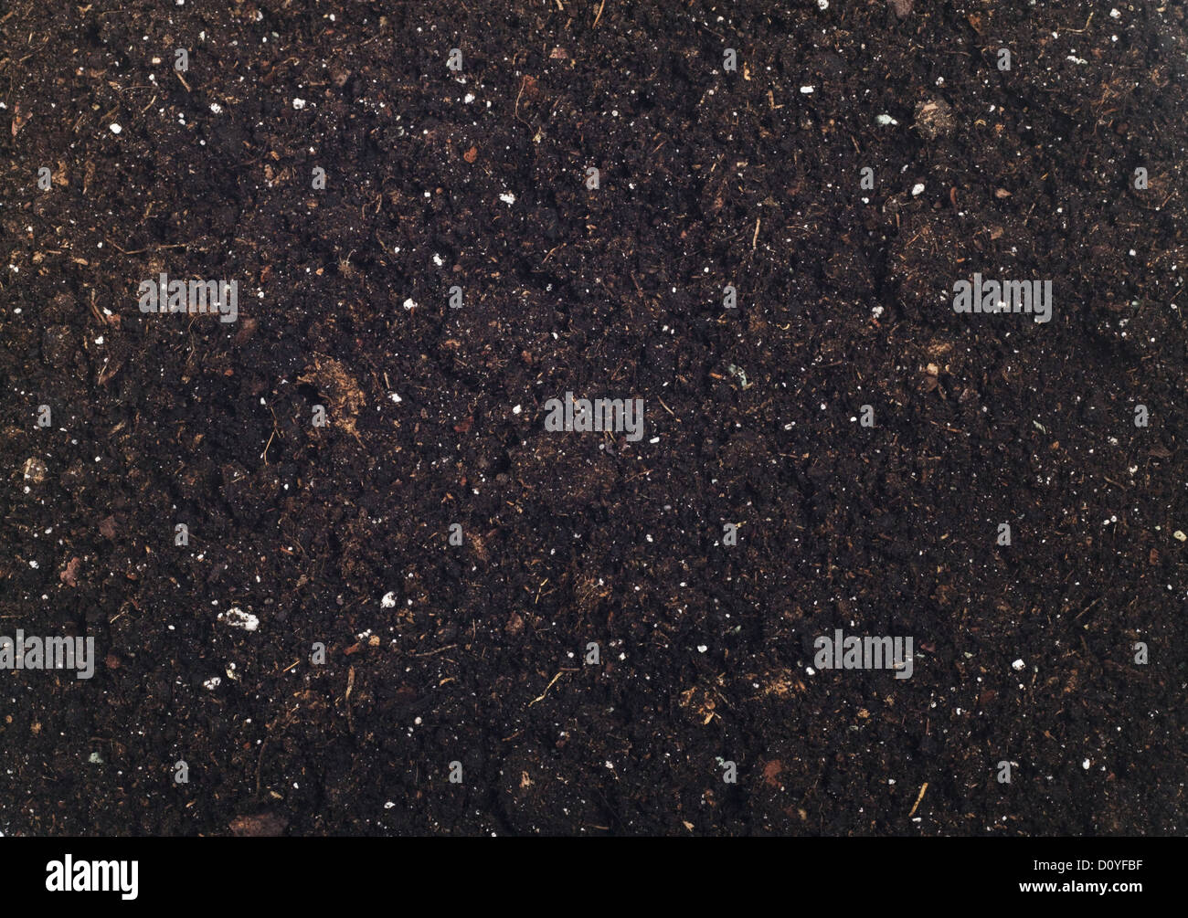 Chernozem soil hi-res stock photography and images - Alamy