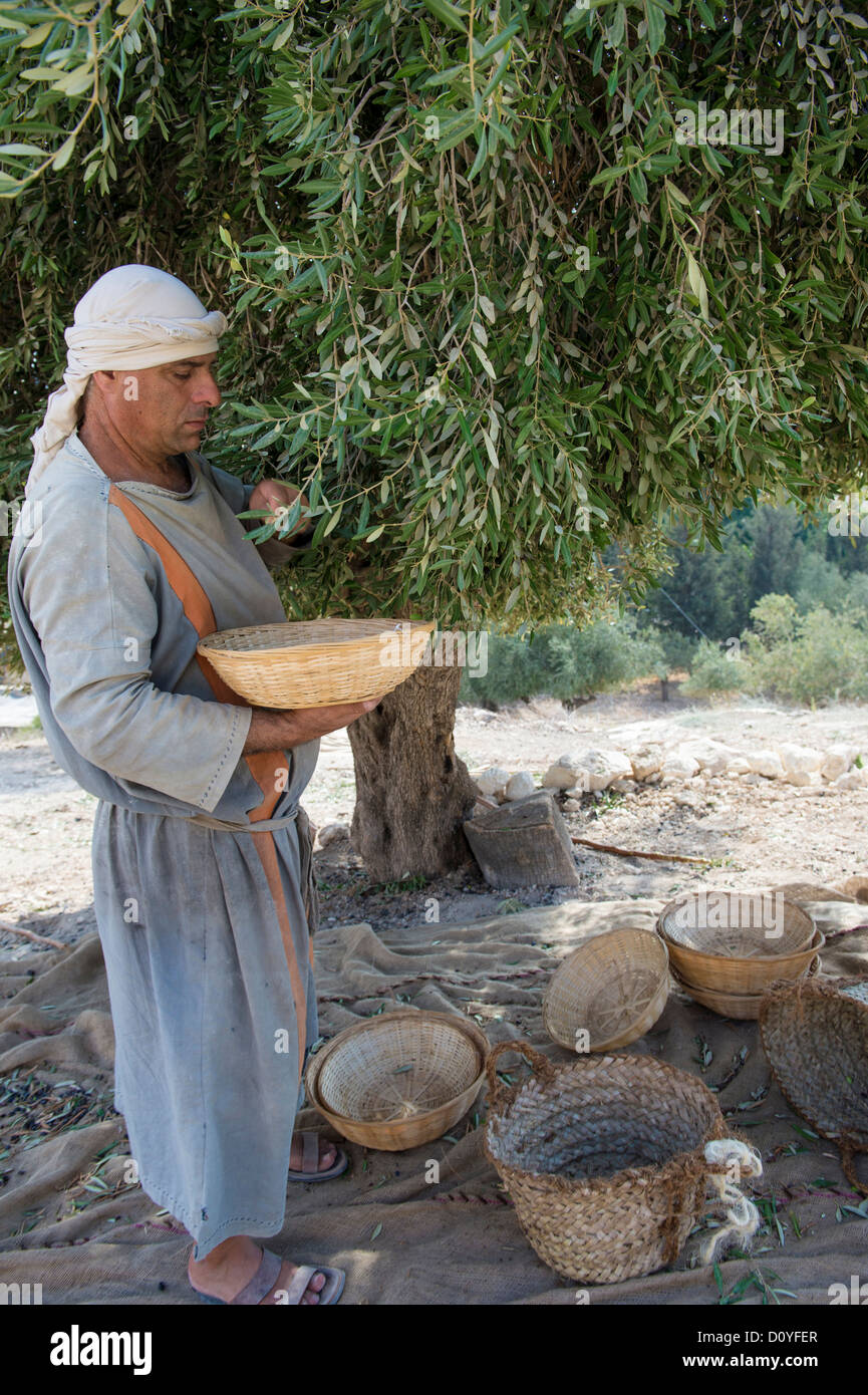 Ancient farming palestine hi-res stock photography and images - Alamy